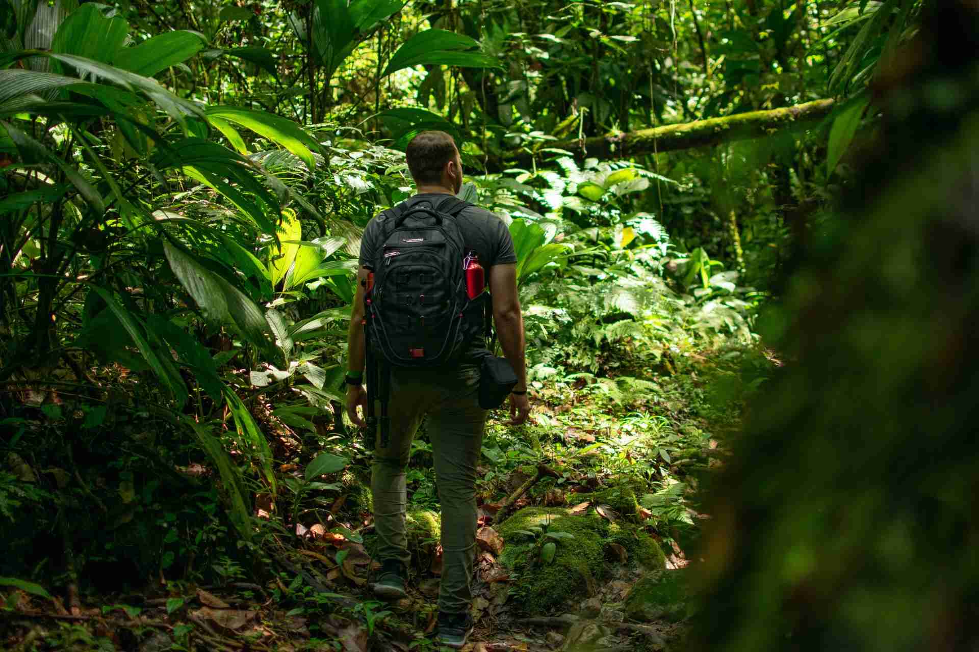Ecoturismo en Costa Rica - Ticoturismo